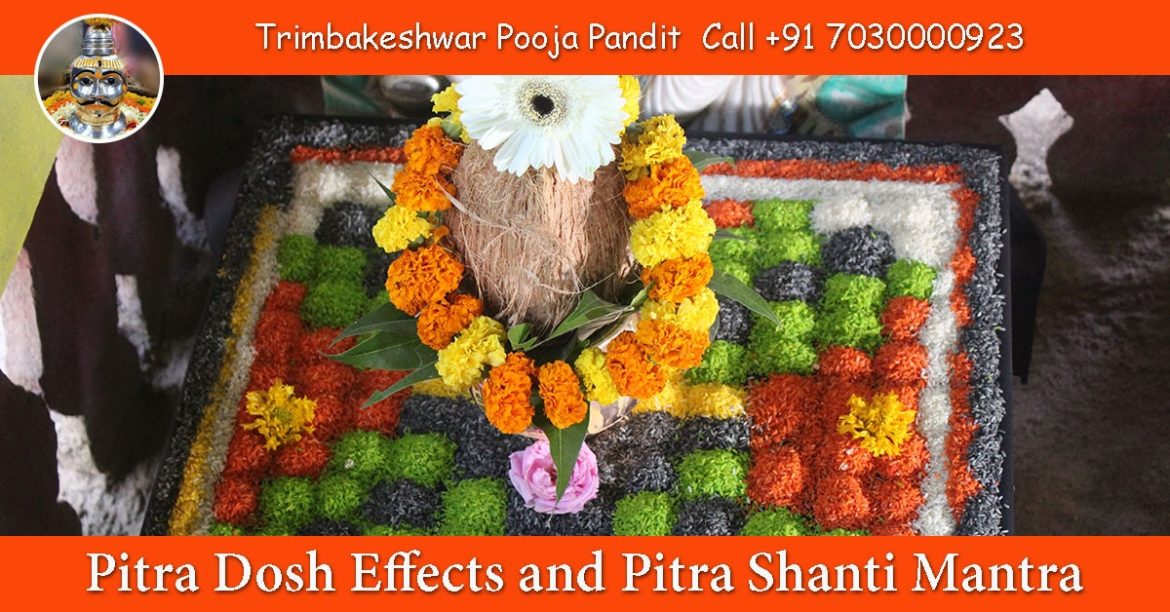 Pitra Dosh Effects And Shanti Mantra | Trimbakeshwar Pooja