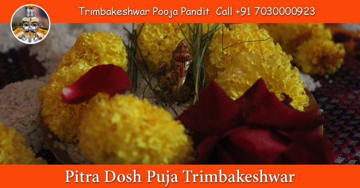 Pitra Dosh Puja In Trimbakeshwar | Trimbakeshwar Pooja